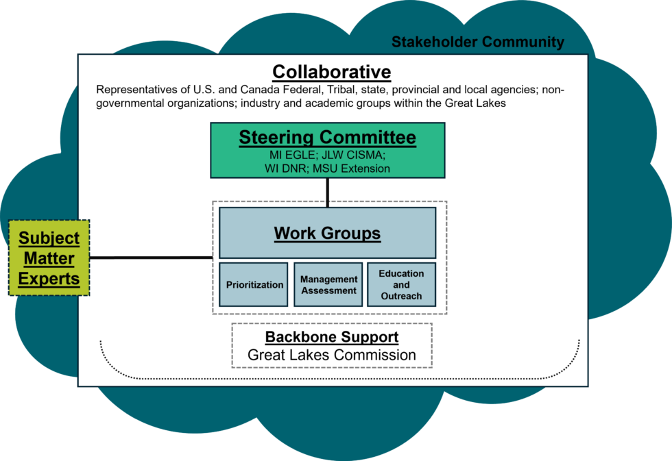 Meet the Collaborative - European Frog-bit Collaborative
